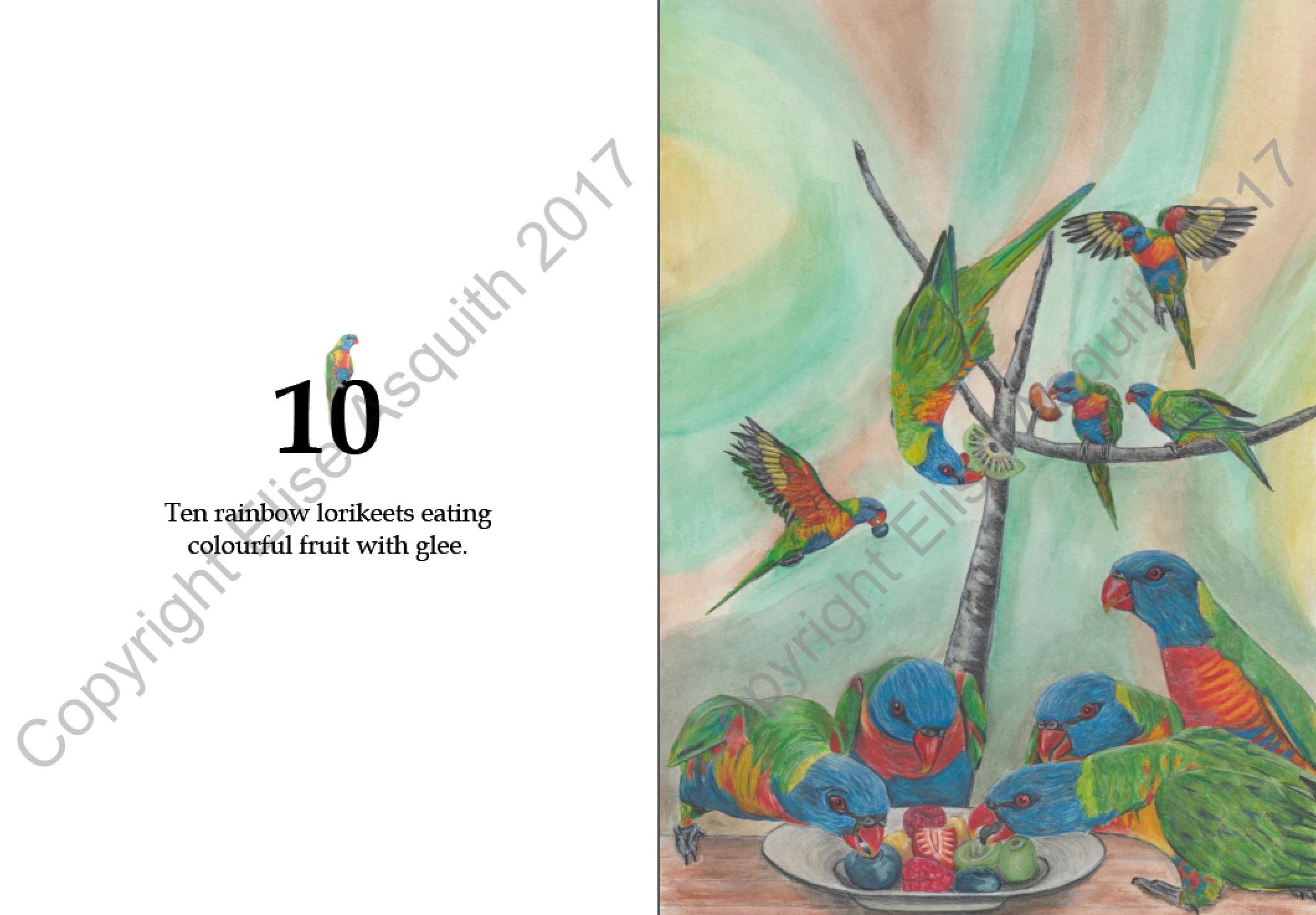 Counting Colourful Creatures – Budgie Books