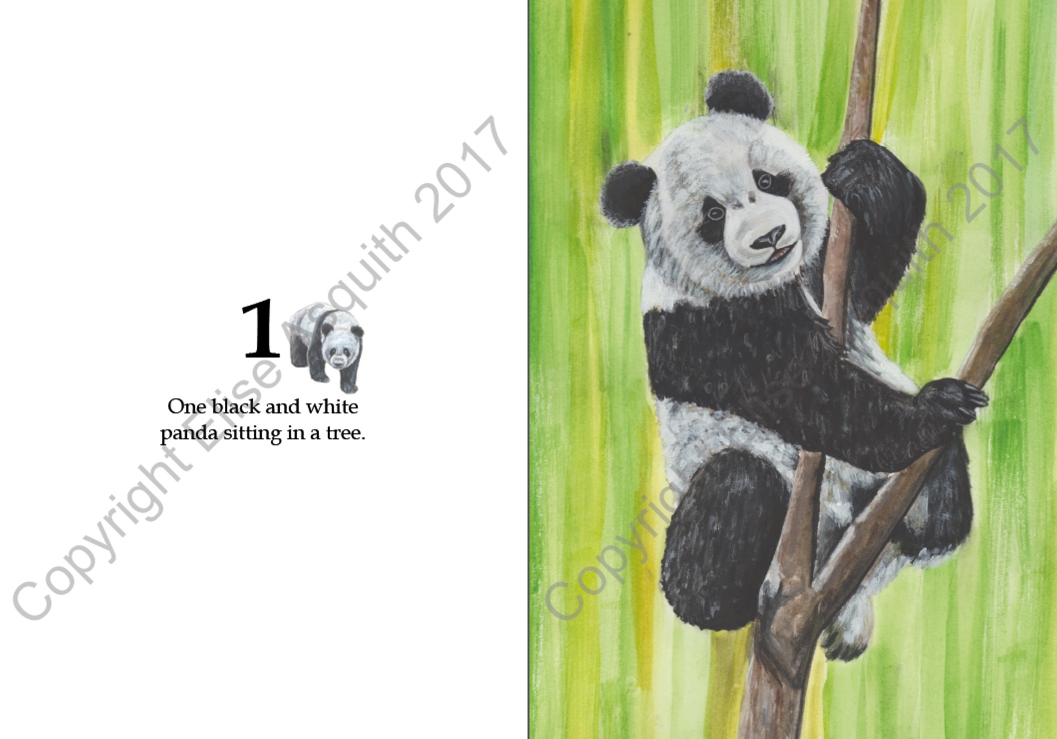 Counting Colourful Creatures – Budgie Books