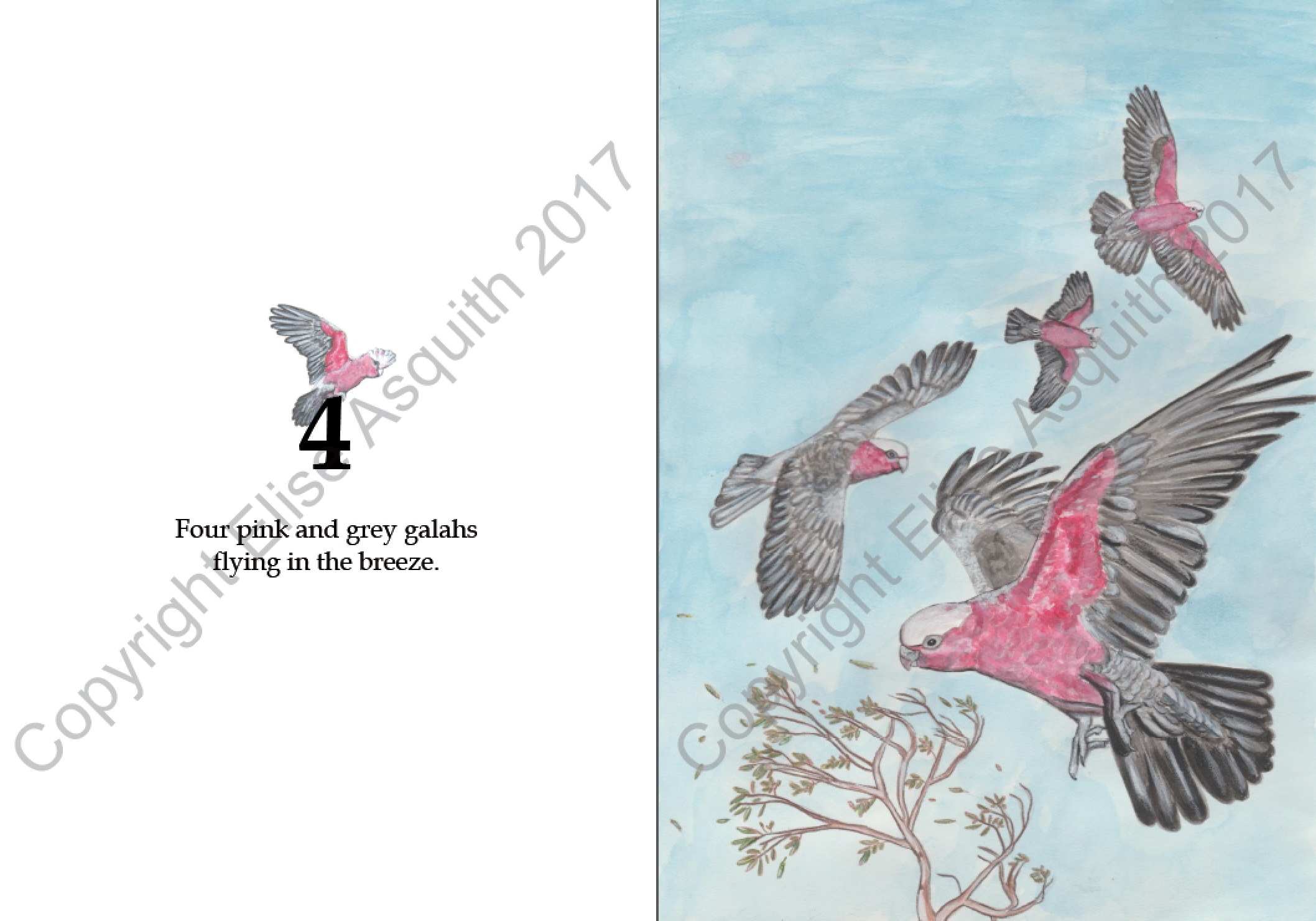 Counting Colourful Creatures – Budgie Books