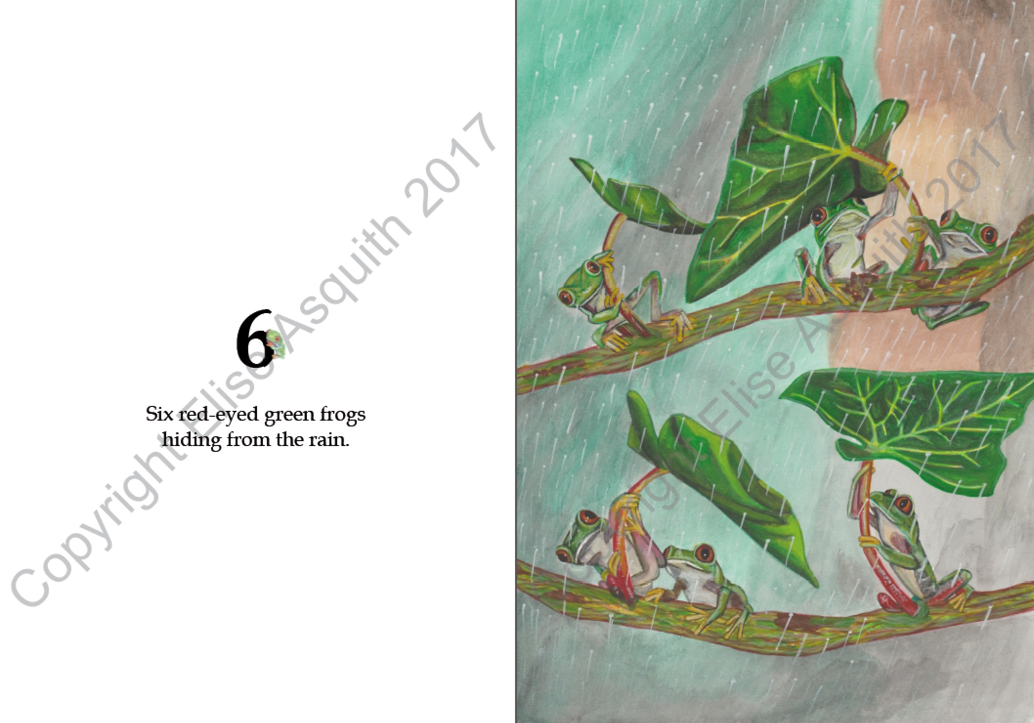 Counting Colourful Creatures – Budgie Books