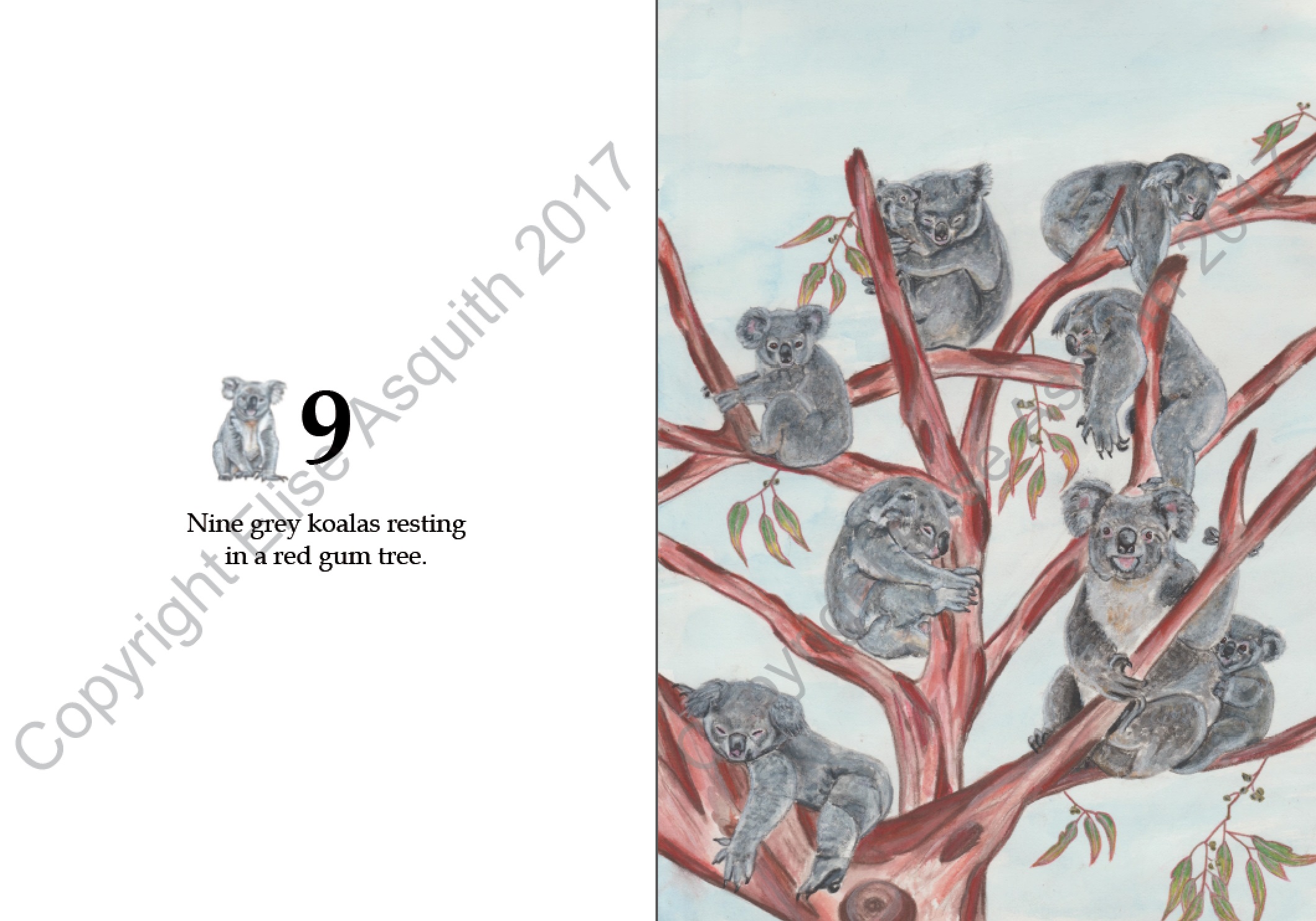 Counting Colourful Creatures – Budgie Books